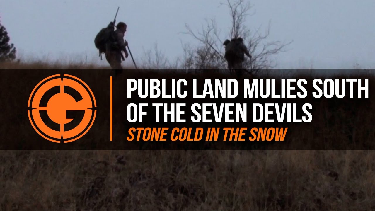 lrp-highlights-s1-e15-public-land-mulies-south-of-the-seven-devils