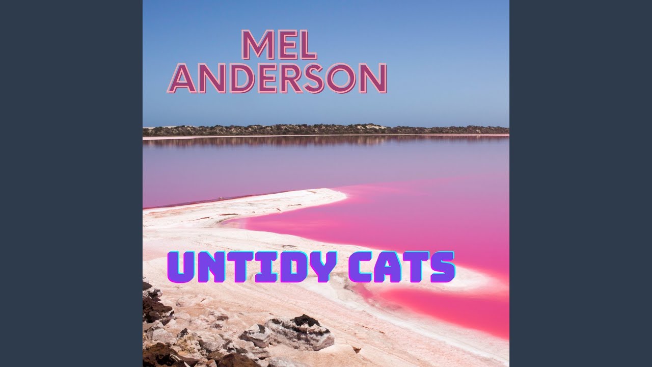 Untidy Cats YouTube untidy-cats-youtube