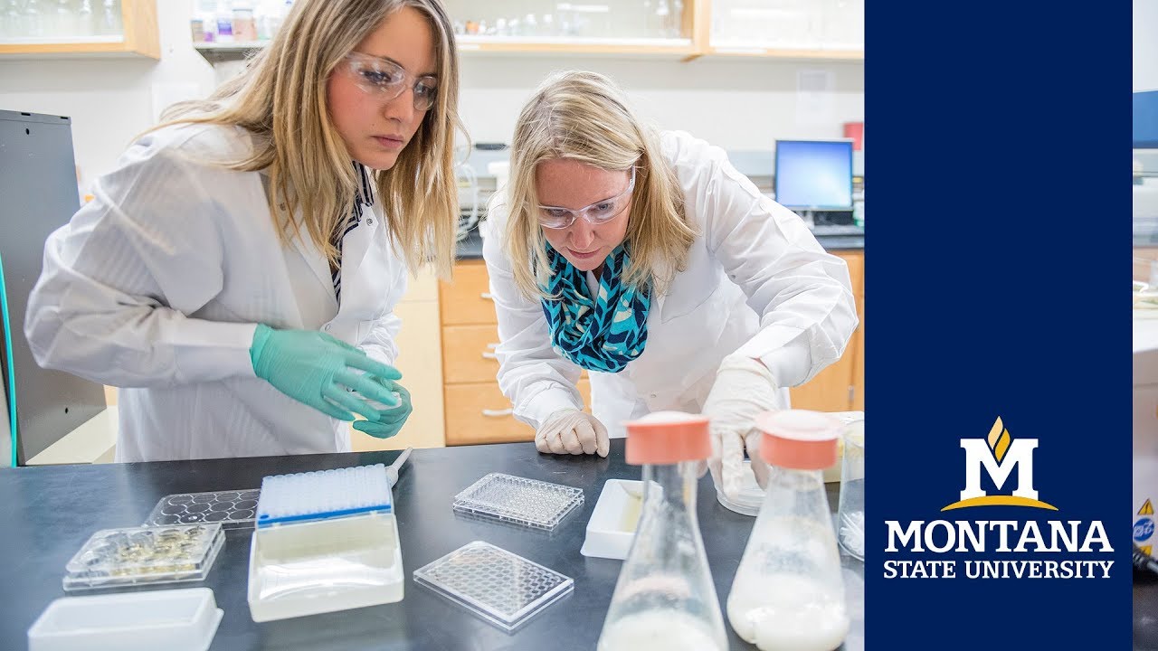 Montana State University Center for Biofilm Engineering - YouTube