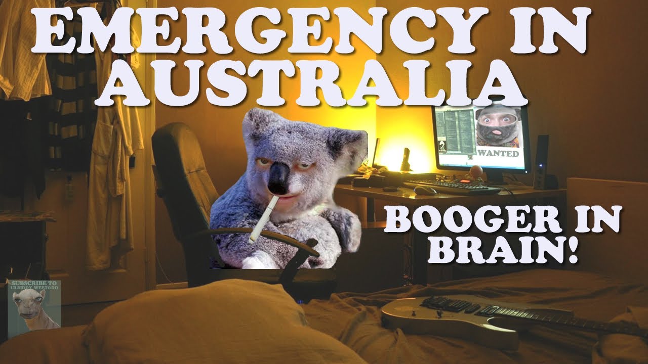 Emergency in Australia: Koala Booger in Brain - Grumpsta Says #1 - YouTube