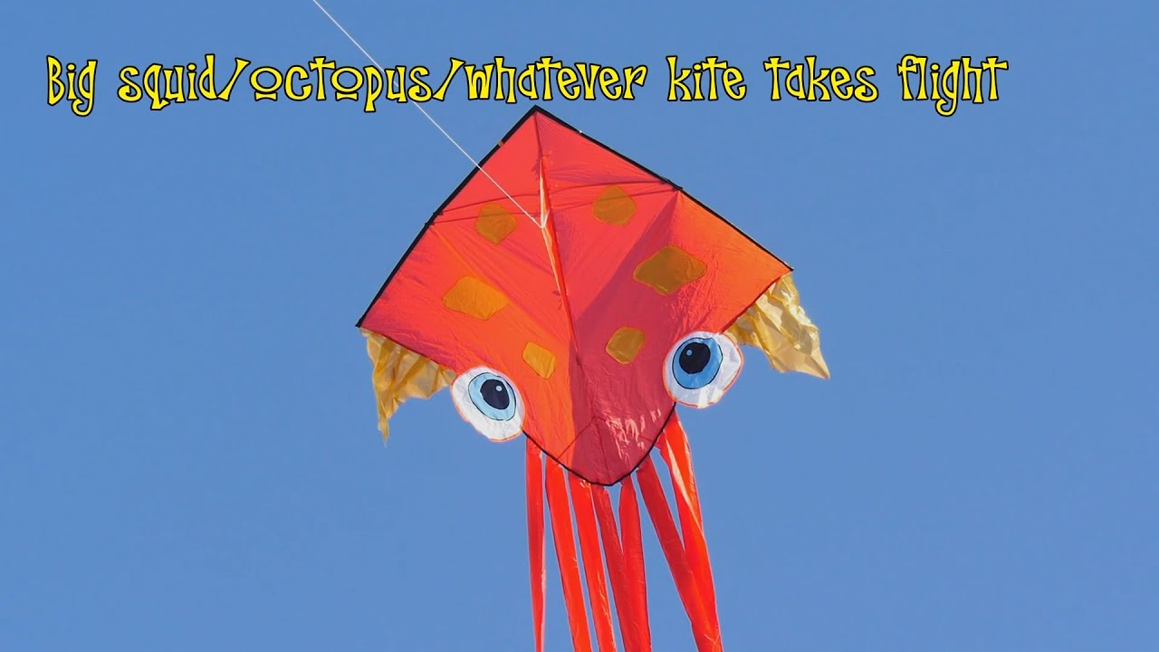 Big squid/octopus/whatever kite (and its cousin) - YouTube