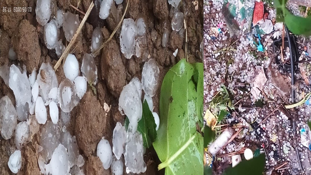 Strong Wind || Hailstorm Lashes || Assam Dibrugarh @Dibrugarh - YouTube
