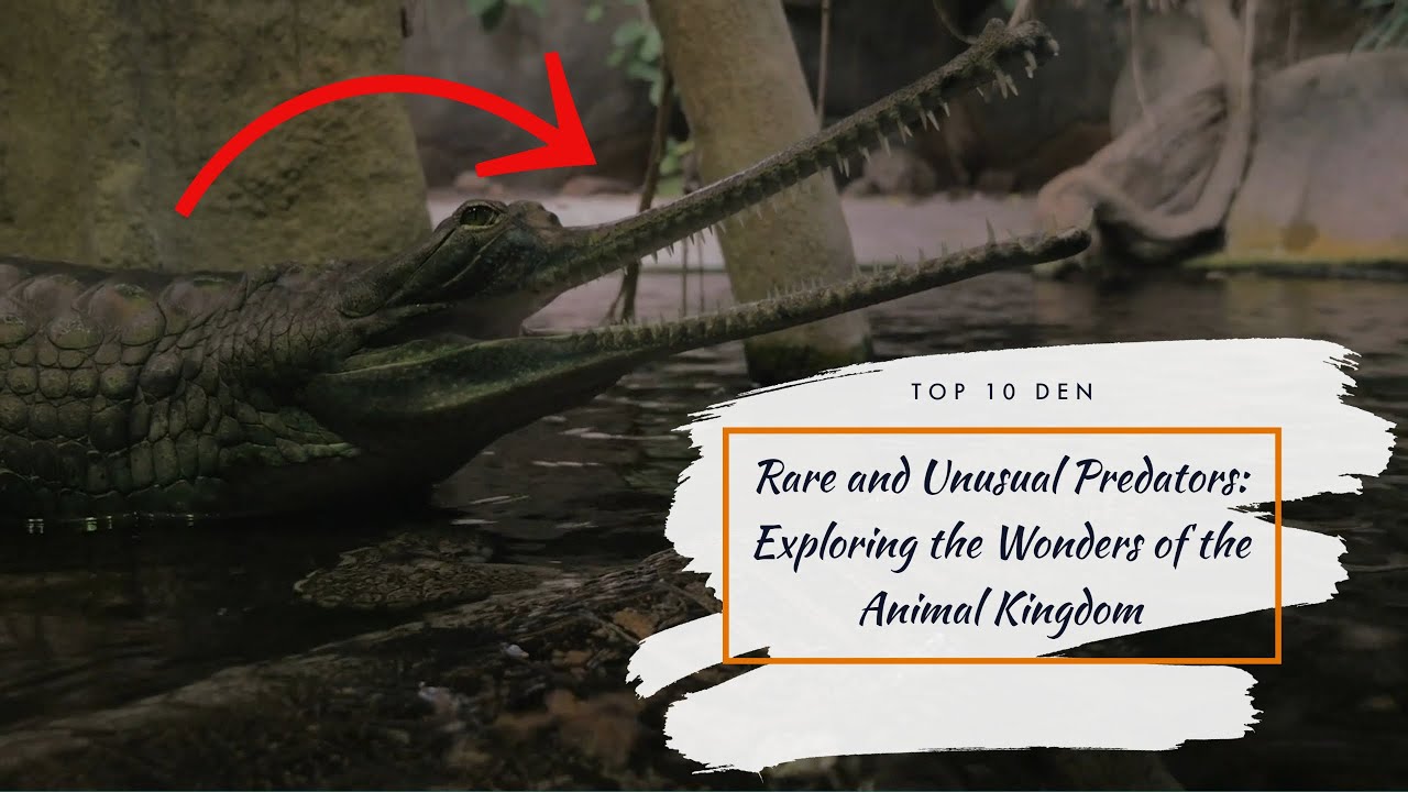 Rare and Unusual Predators: Exploring the Wonders of the Animal Kingdom ...