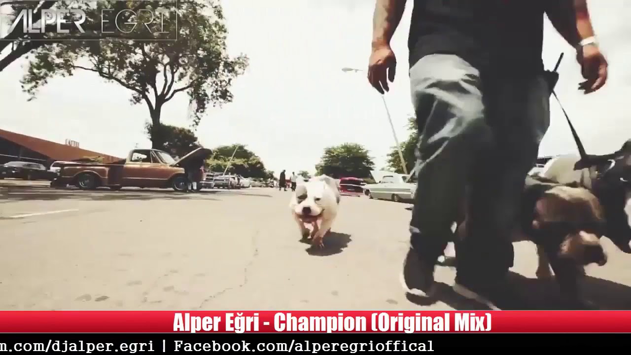 2019 Dj Miji Champion 2019 ( original ) - YouTube