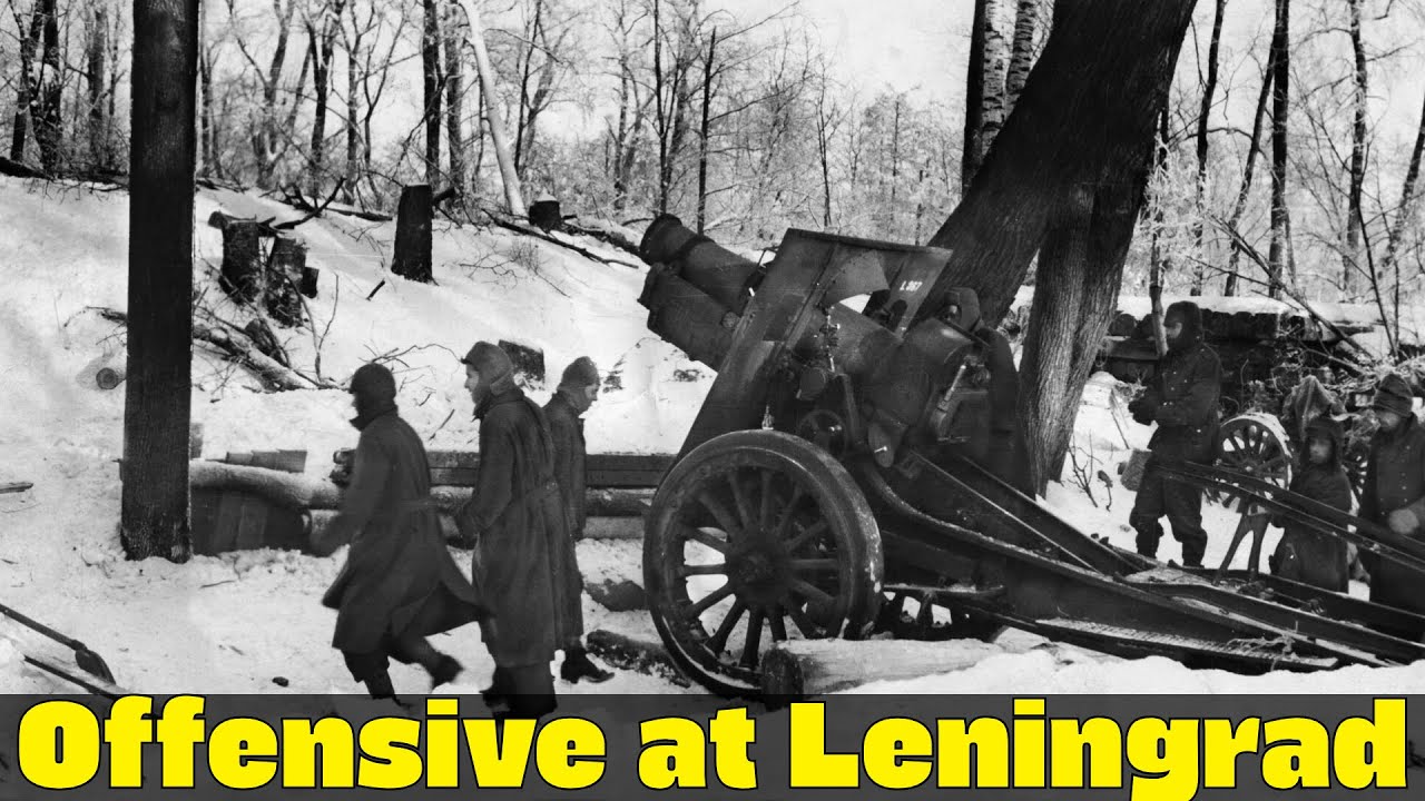 Fighting on the Volkhov Front | Soviet Counteroffensive at Leningrad ...