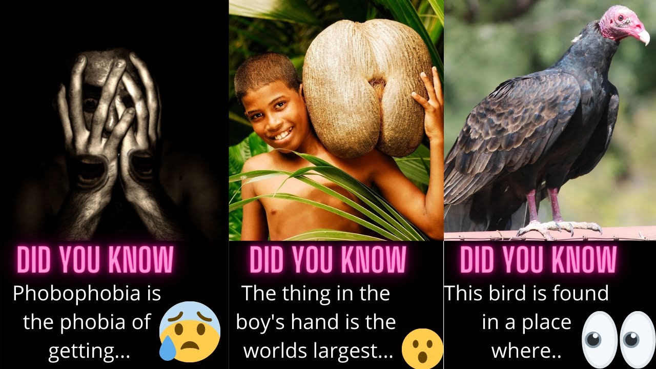 New Facts 2021😱 | Top facts you didn't know😍| psychological facts 2021 ...