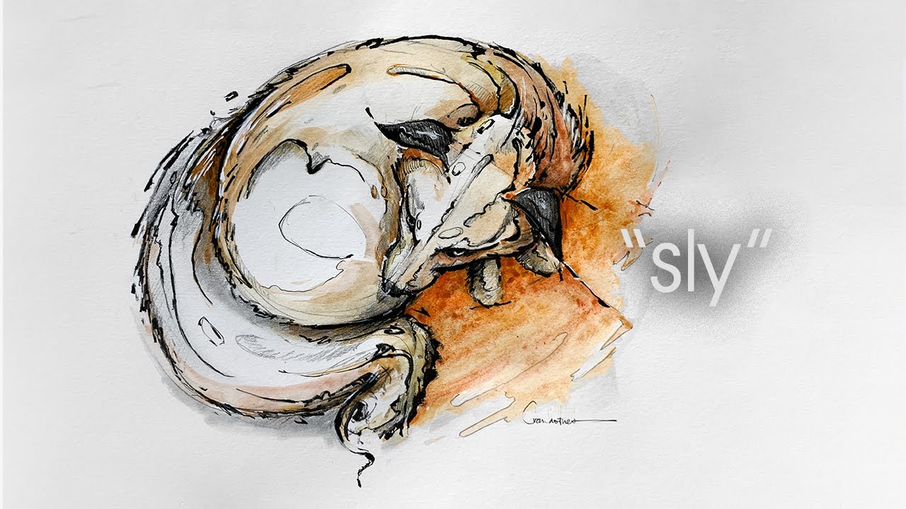 How I Draw "sly" fox - watercolor / ink / pencil - YouTube
