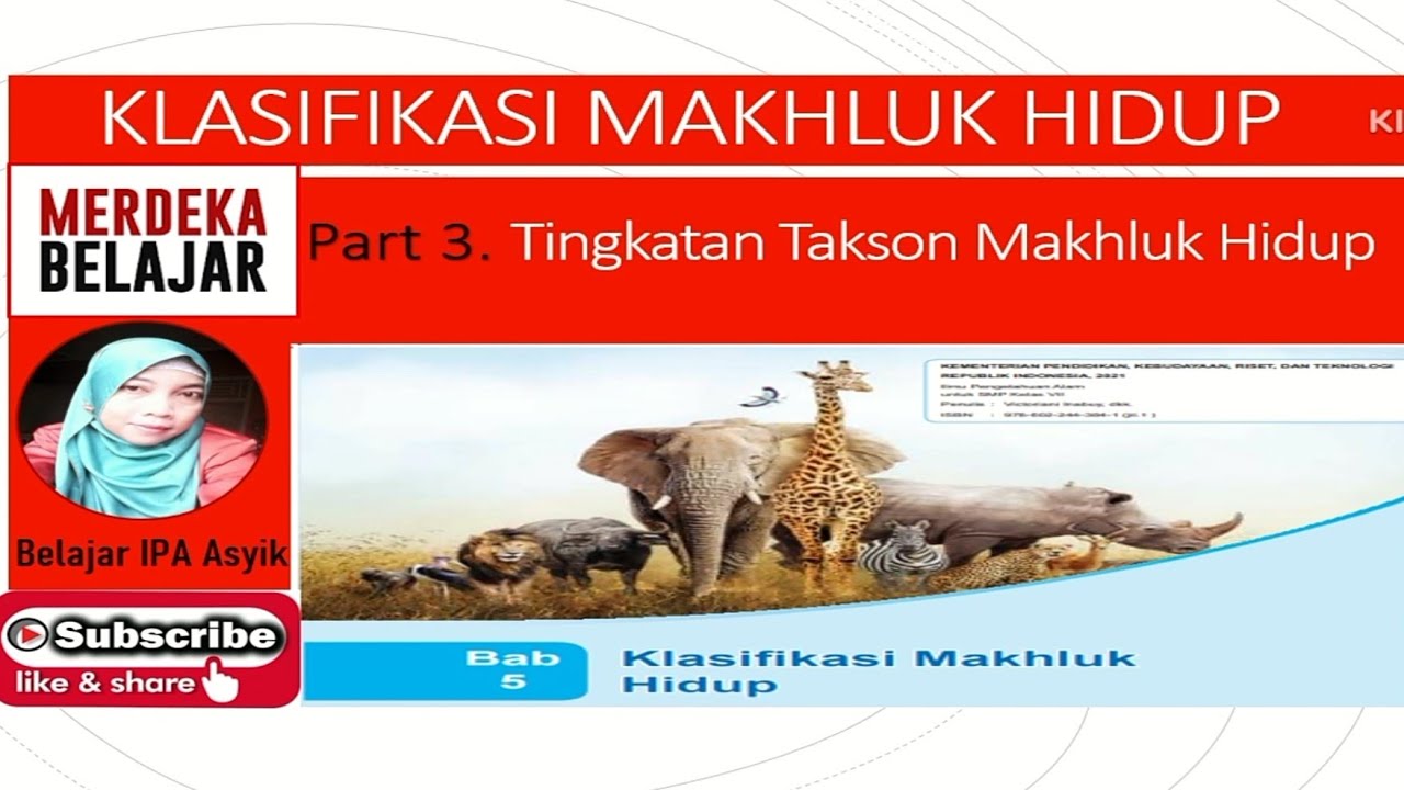 Tingkatan Takson Makhluk Hidup - YouTube