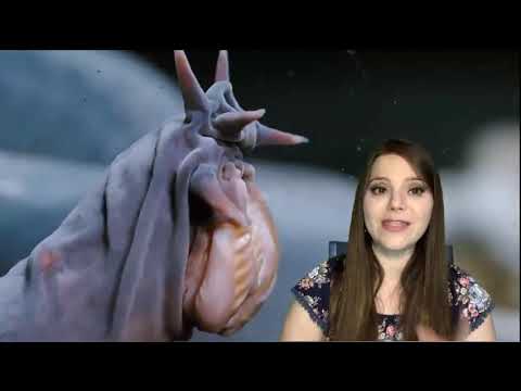 MIXINES (peces bruja) - YouTube