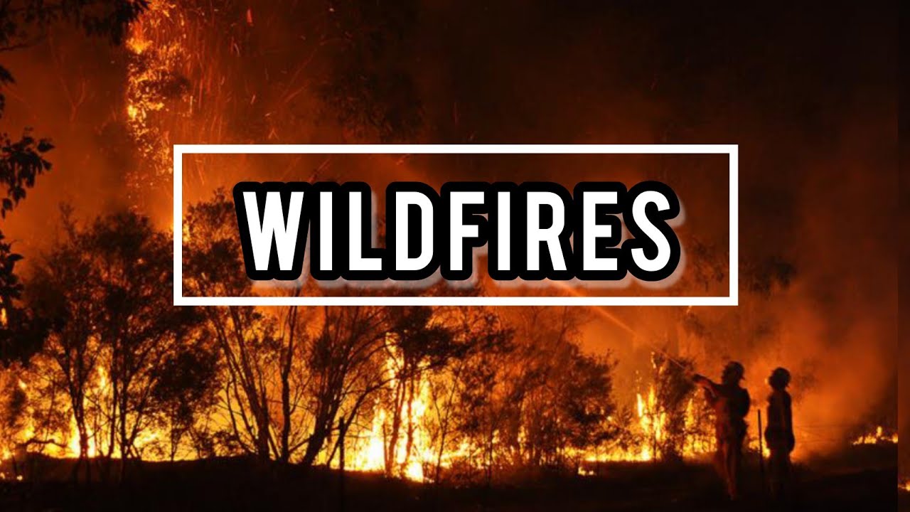 Wildfires | The Science Of Wildfires - Wildfires Los Angeles - YouTube