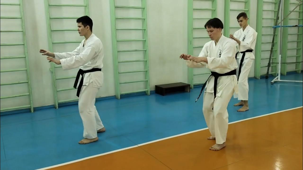 Seisan kata 十三 (セ ー サ ン) Uechi ryu karate students of Sensei GilManShin dojo seminar in ...