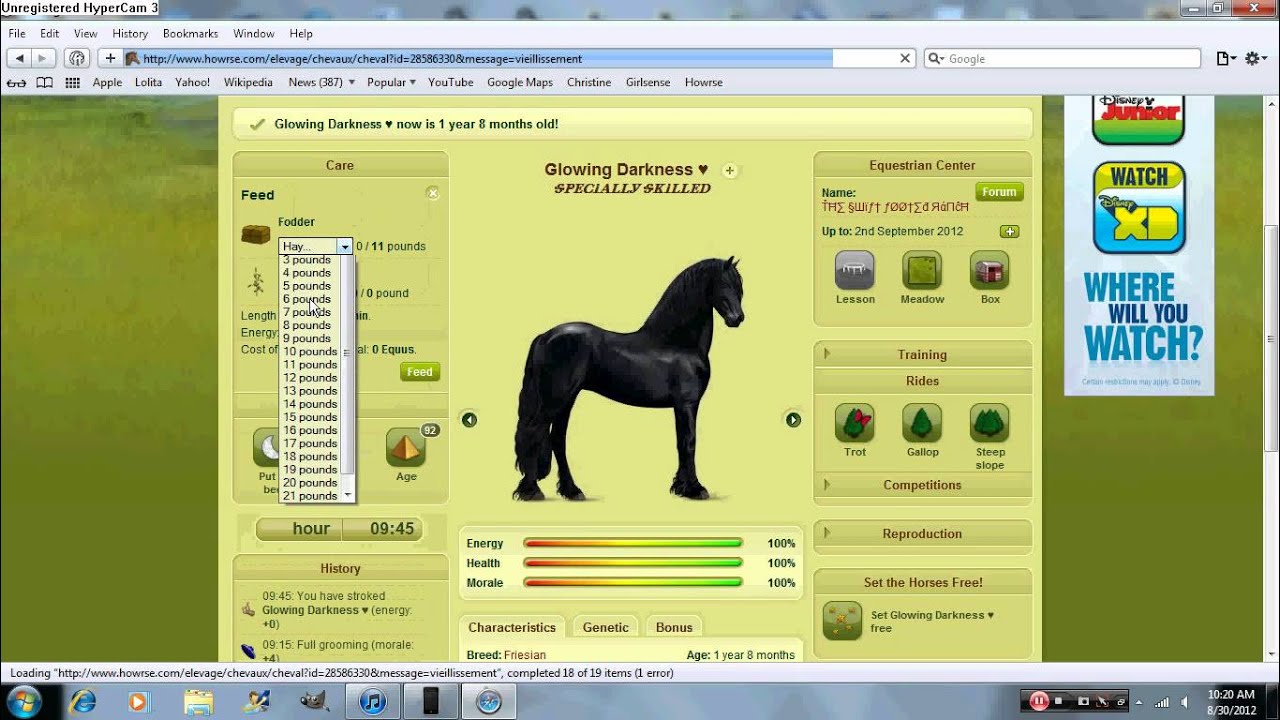 Howrse: Training - from foal to adult - YouTube