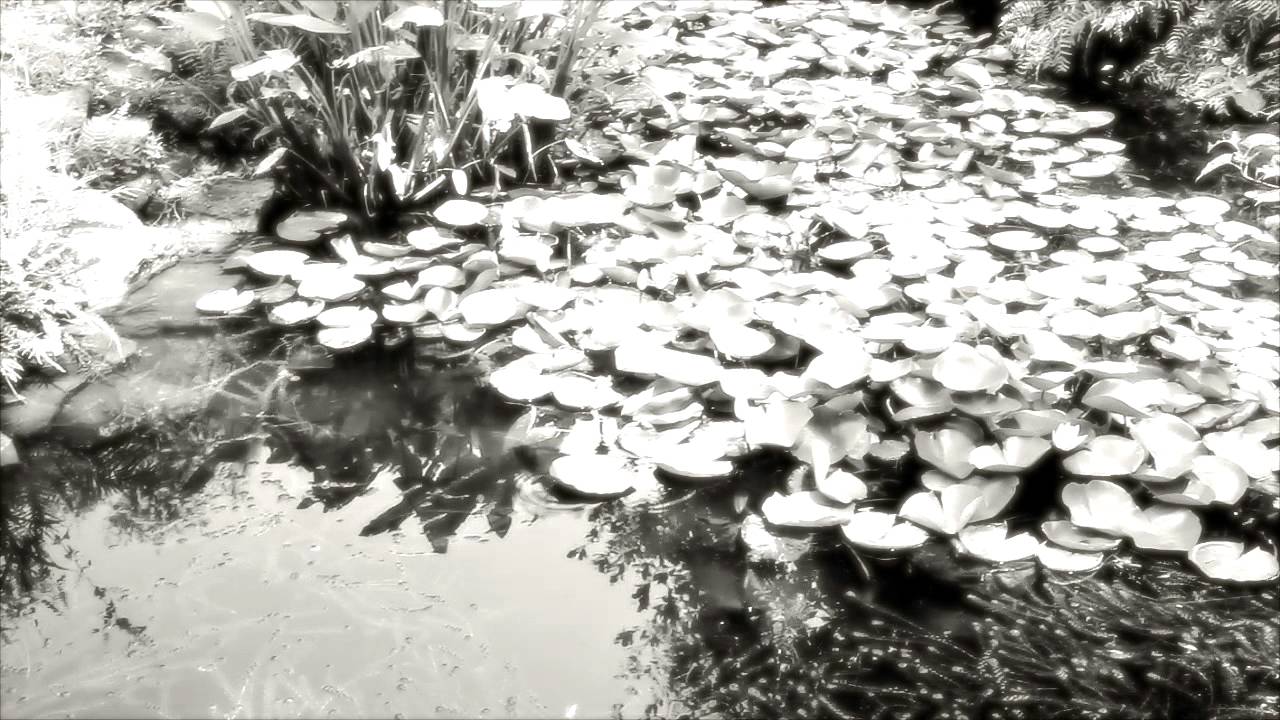 Konfo - L.O.V.E. Official Visual - YouTube