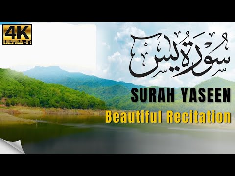 Surah Yaseen | Yasin Shareef | Beautiful Yasin Tilawat | Saaf Voice ...