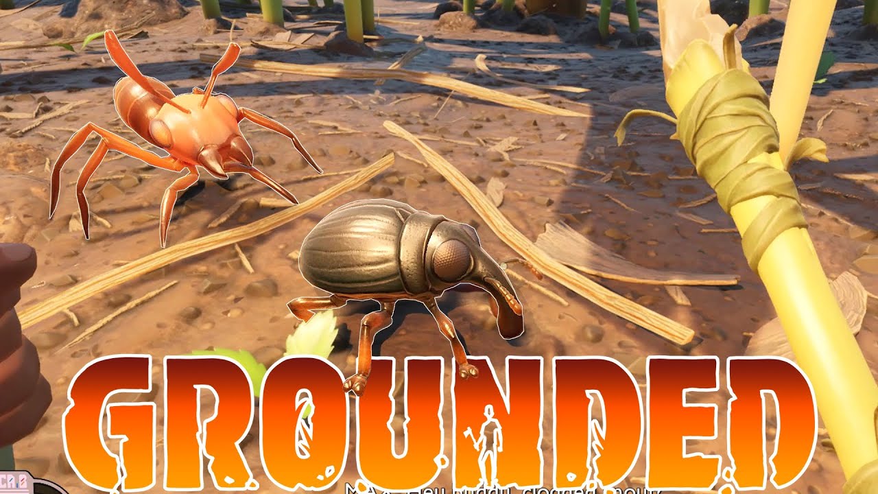 Grounded - Part 1 - New Survival Game (Grounded Gameplay) - YouTube