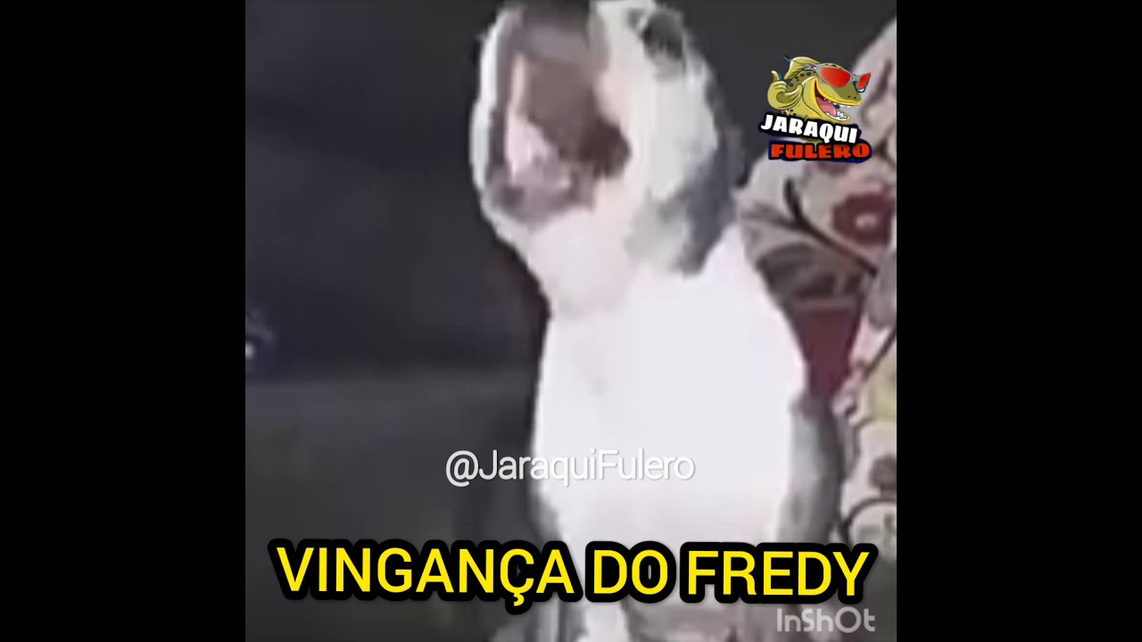 Vingança do Fred cachorro Meme - YouTube