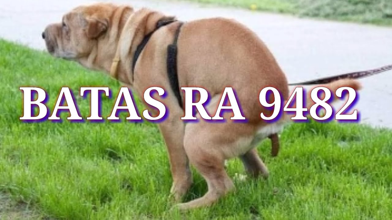 Batas RA 9482 || Para sa mga may alagang aso - YouTube