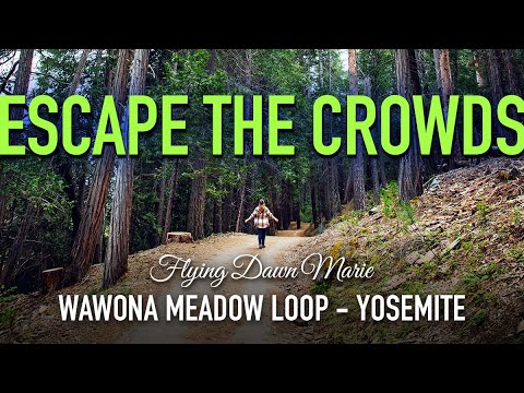 250: Wawona Meadow Loop Trail - YOSEMITE with NO CROWDS (Yosemite ...