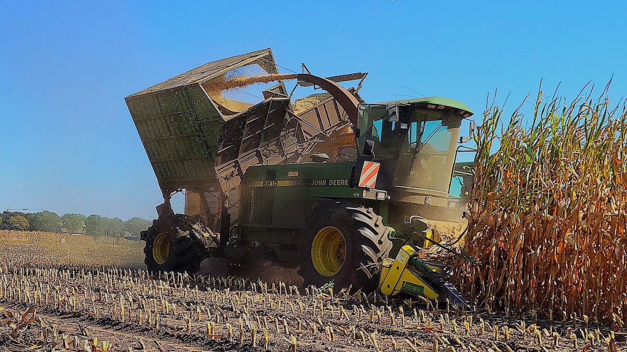 Mais silage 2022 | John Deere 6810 | Driessen - YouTube