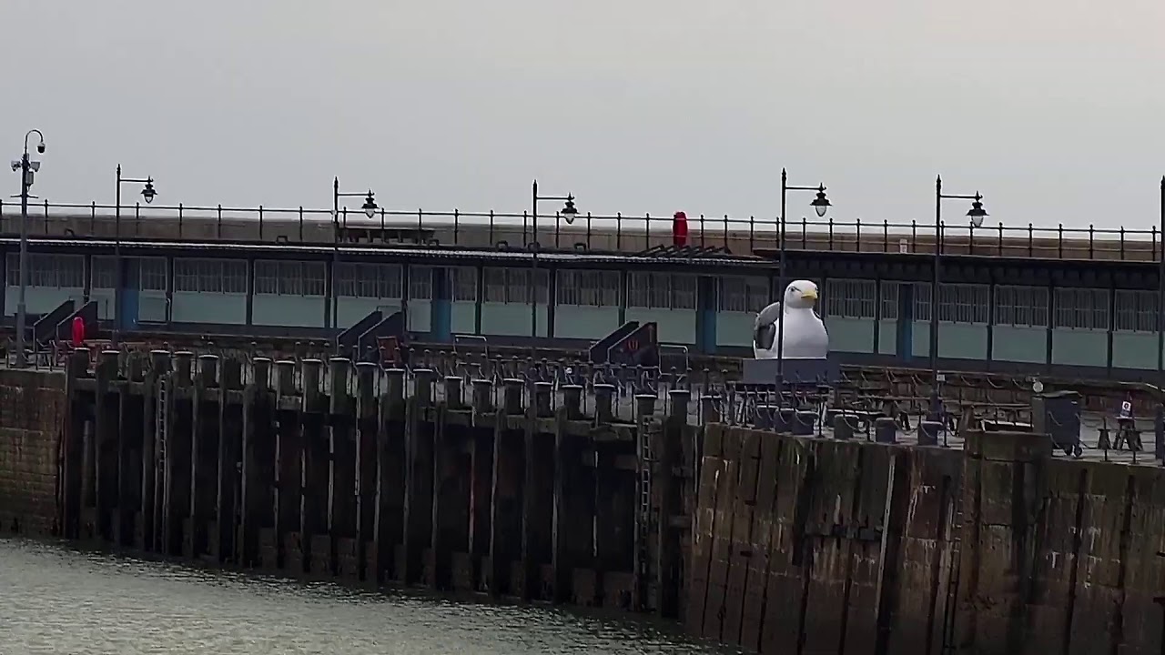 Folkestone Harbour & Seafront Development Co. Live Stream - YouTube