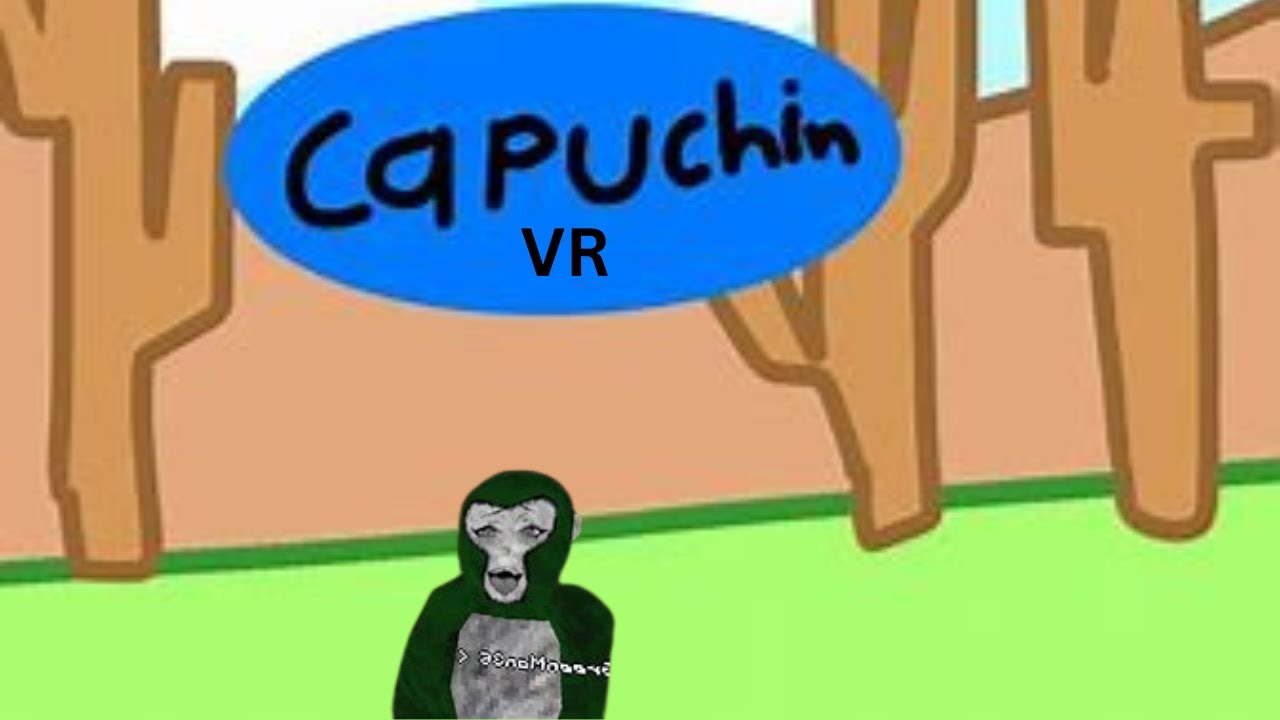 FIRST CAPUCHIN VID - YouTube