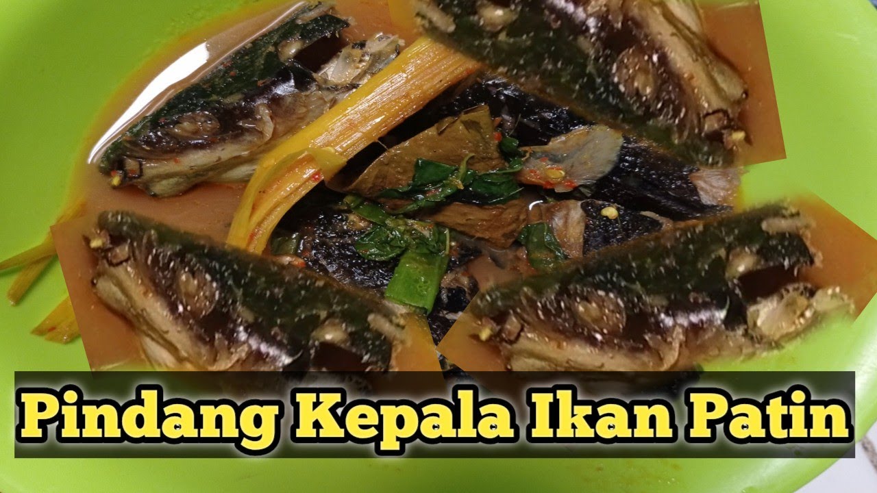 Masak Pindang Kepala Ikan Patin Mudah dan Enak Rasanya - YouTube
