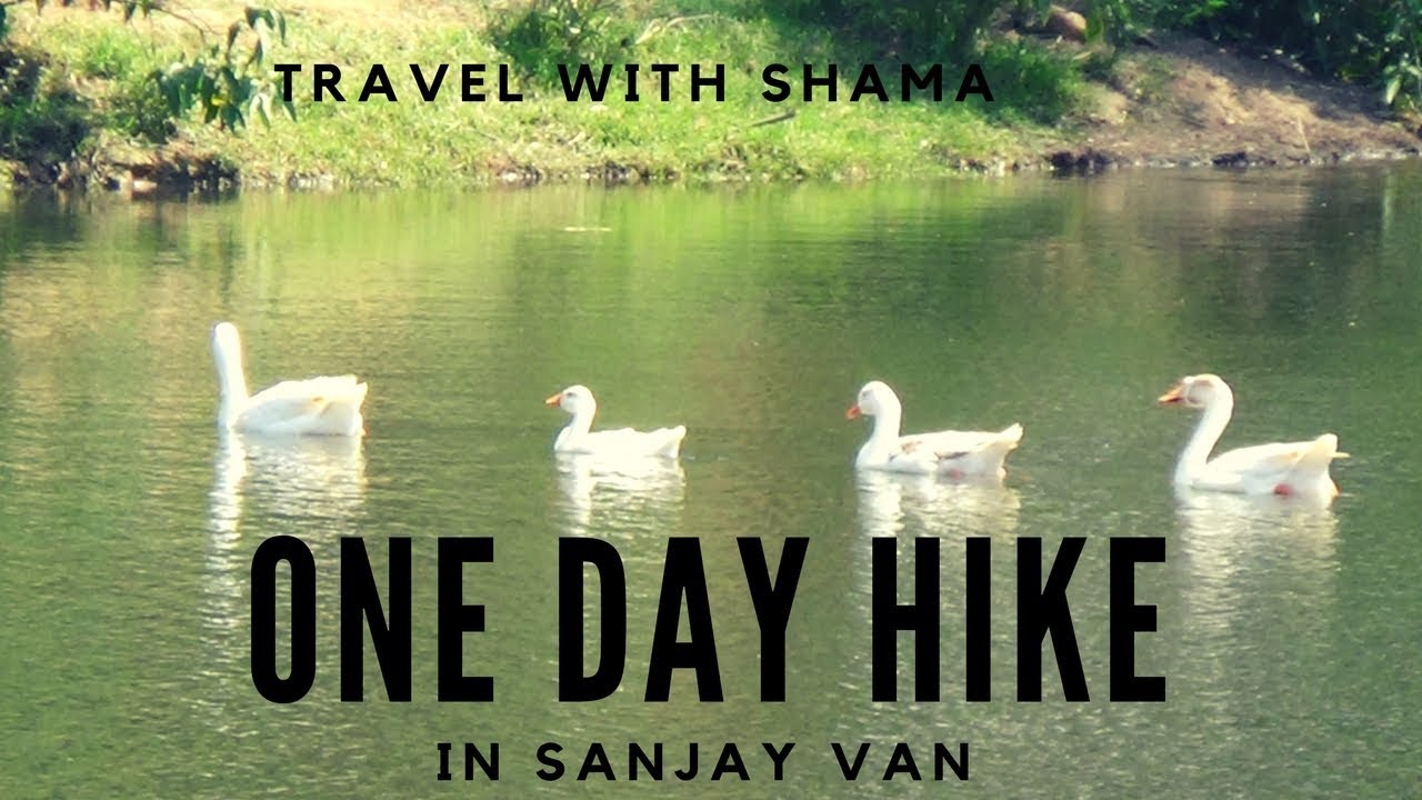 A day Hike in Sanjay Van - Travel with Shama - YouTube