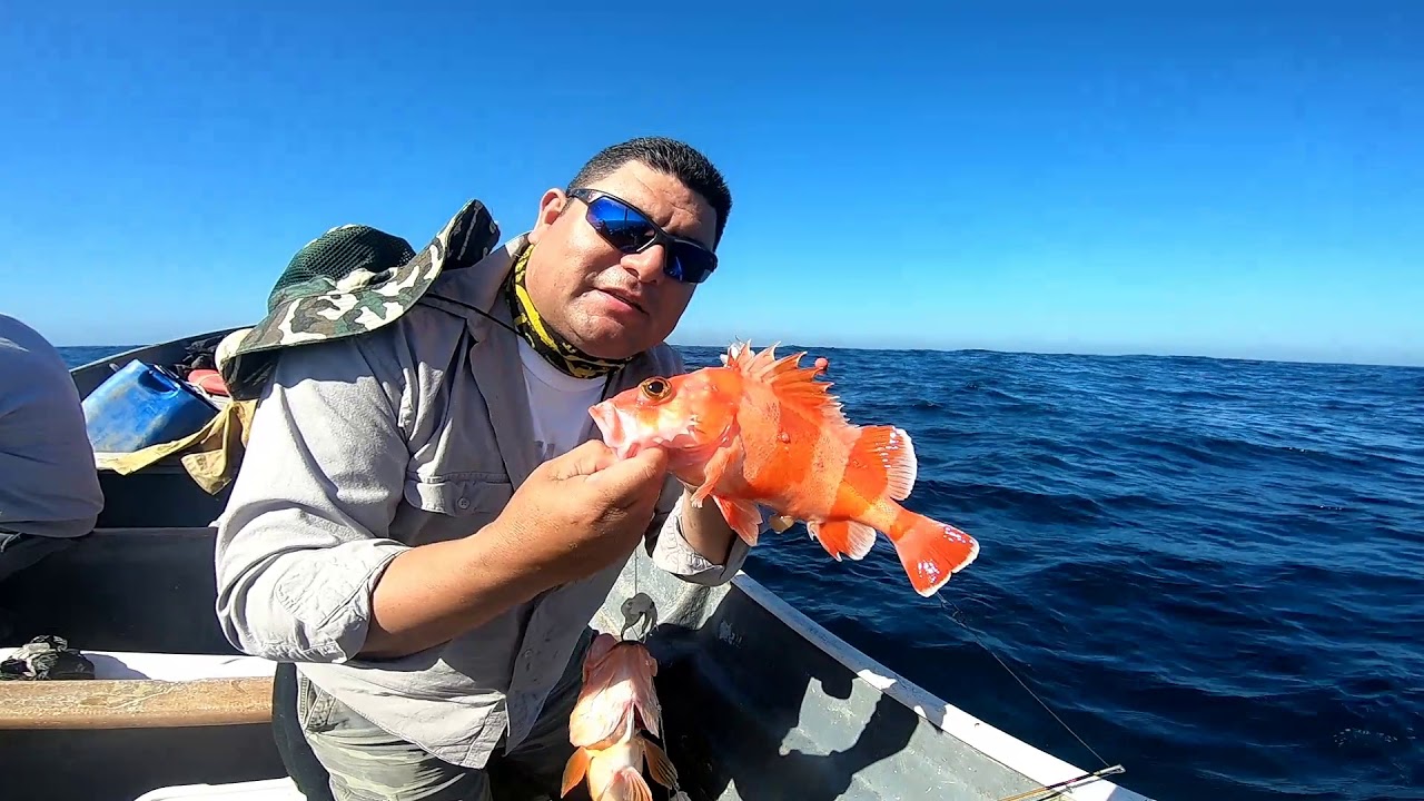 Pesca con calamar en Popotla Rosarito Baja California - YouTube
