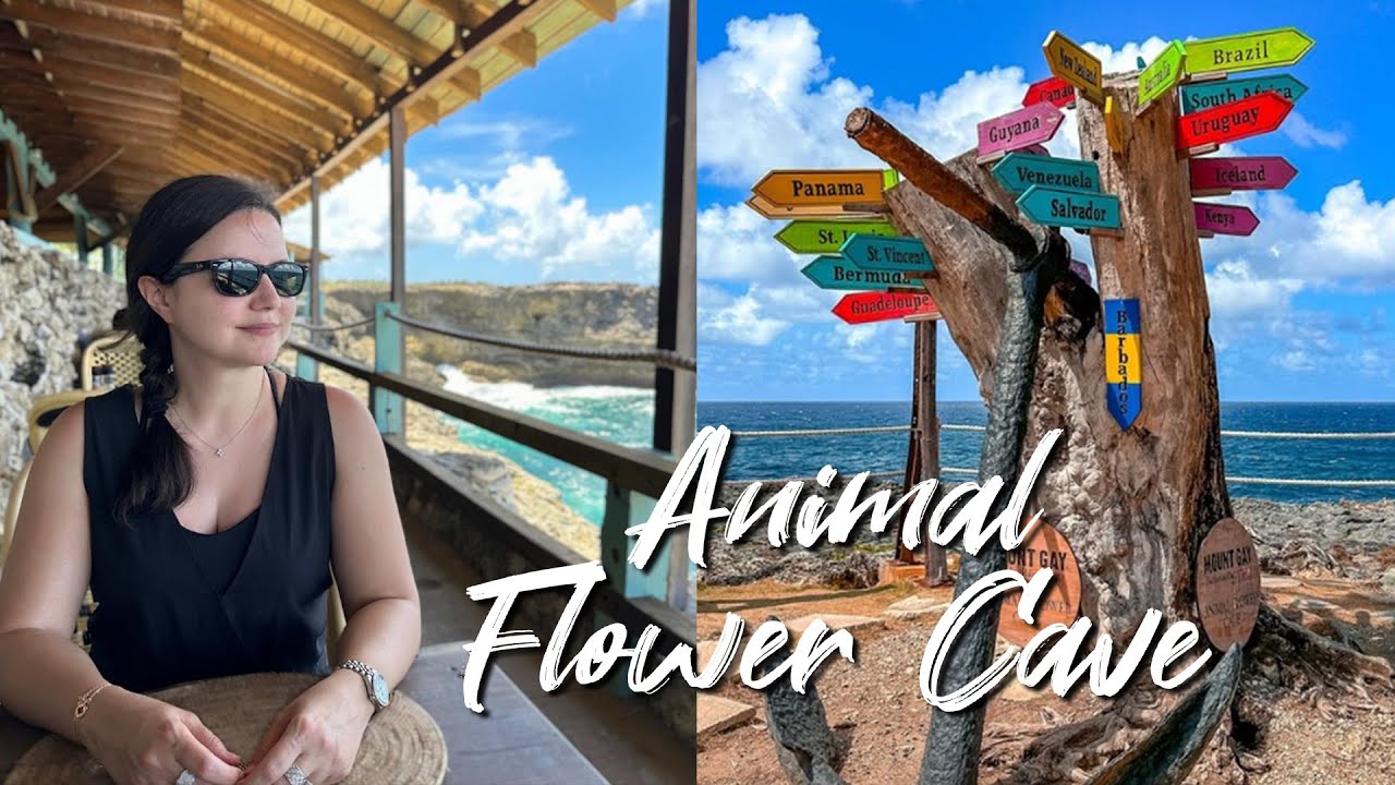 North Point Animal Flower Cave | Best Flower Site