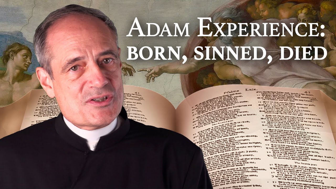 What Our Adam Experience Means For Us - Fr Peter Bible - YouTube