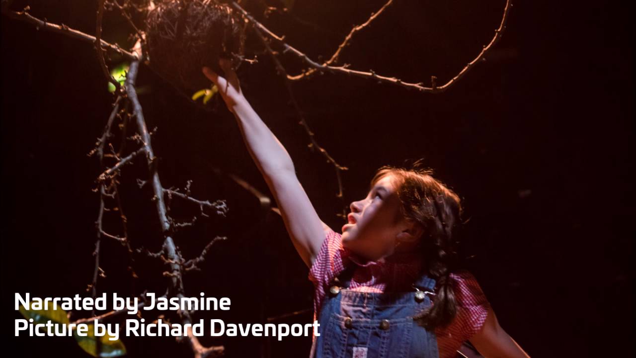 To Kill a Mockingbird cast readings - Scout talking about Boo Radley ...