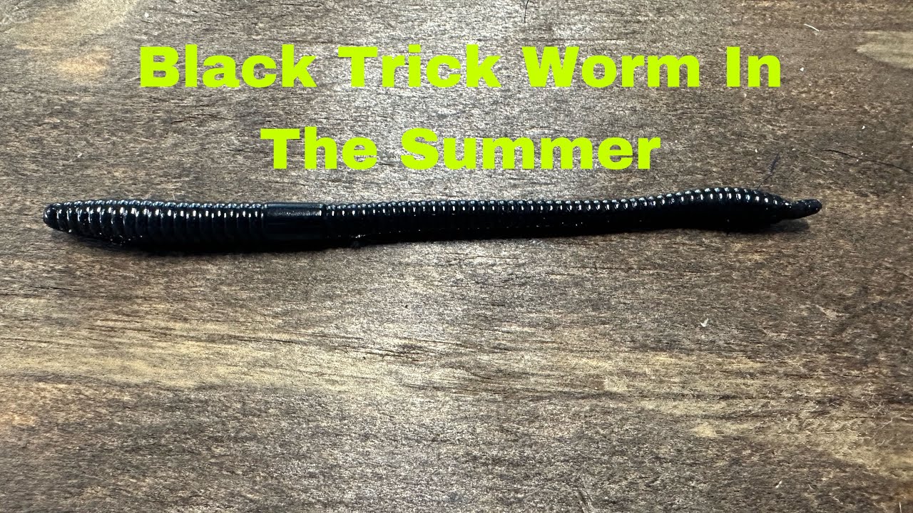 When A Black Trick Worm Outproduces All Other Plastic Worms - YouTube