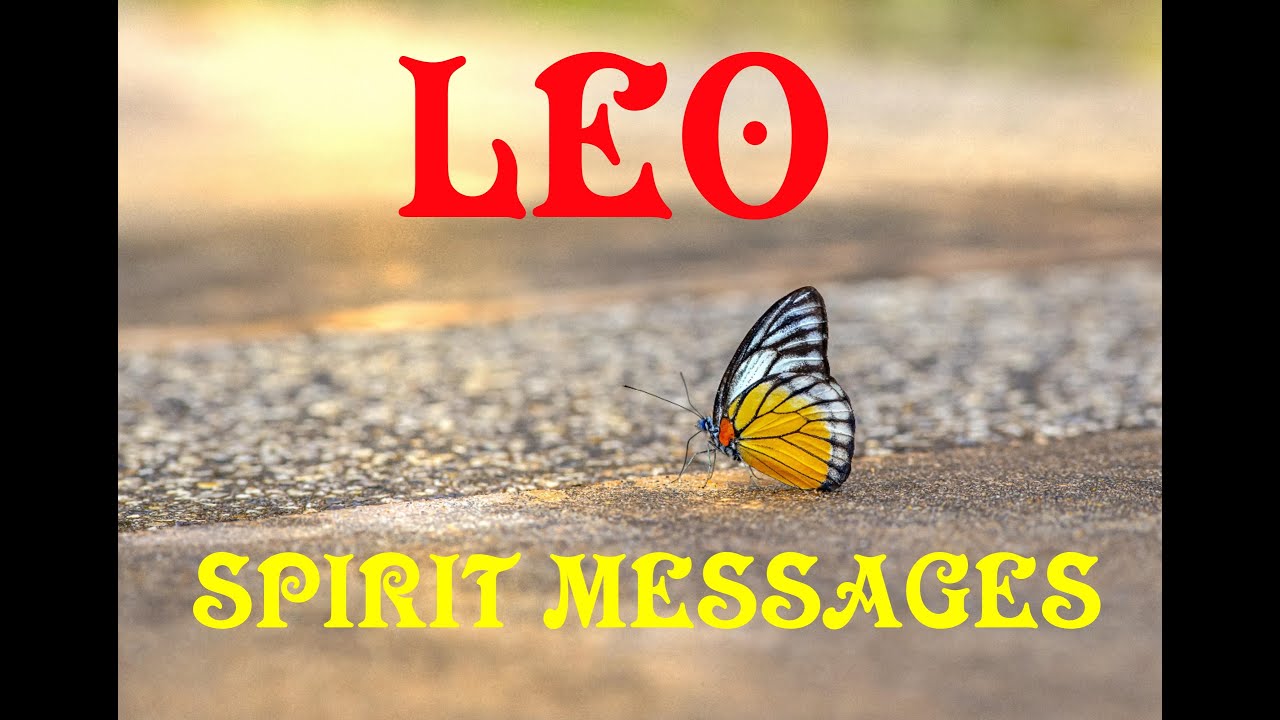 Spirit Messages for LEO *Timeless* Tarot & Oracle Card Reading - YouTube