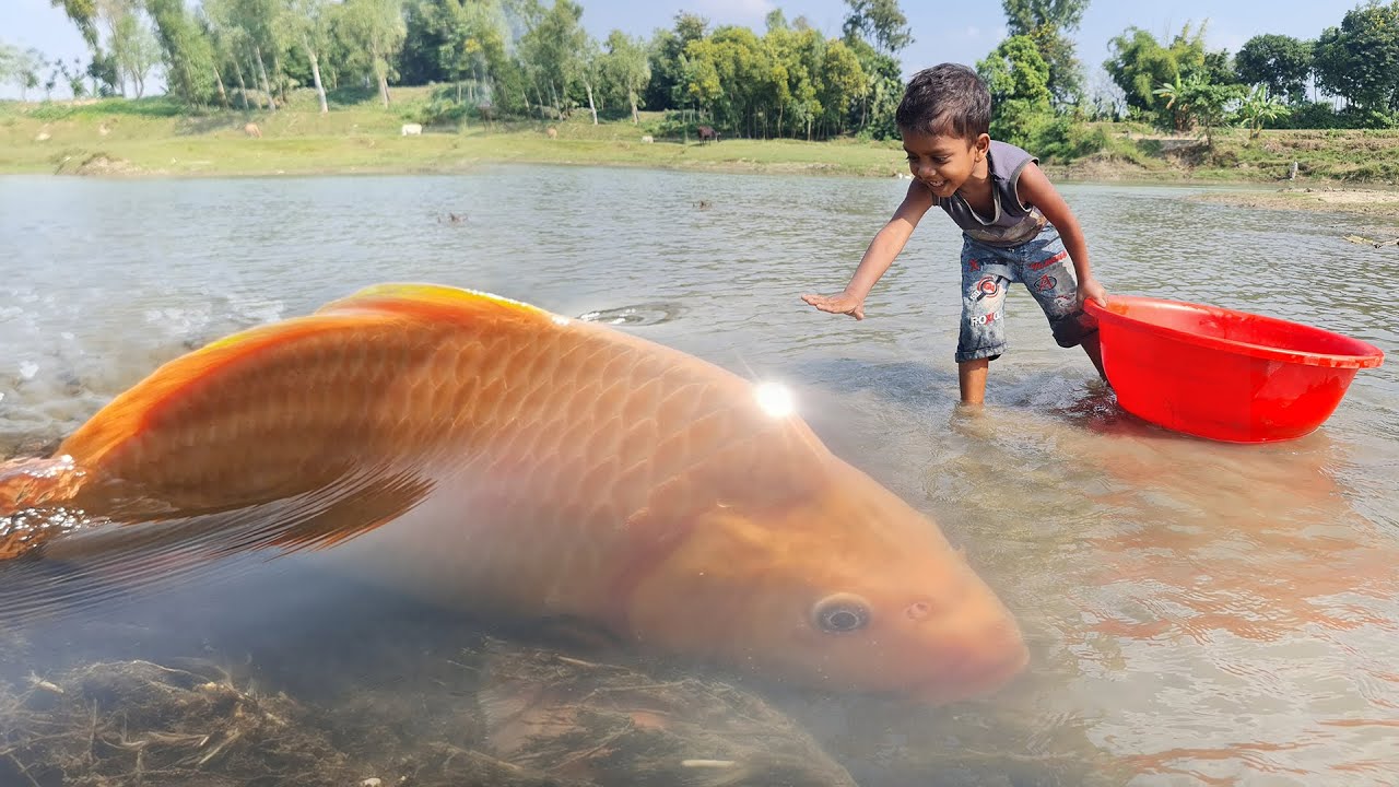 Amazing Boy Catching Fish By Hand | Traditional Little Catching Big ...