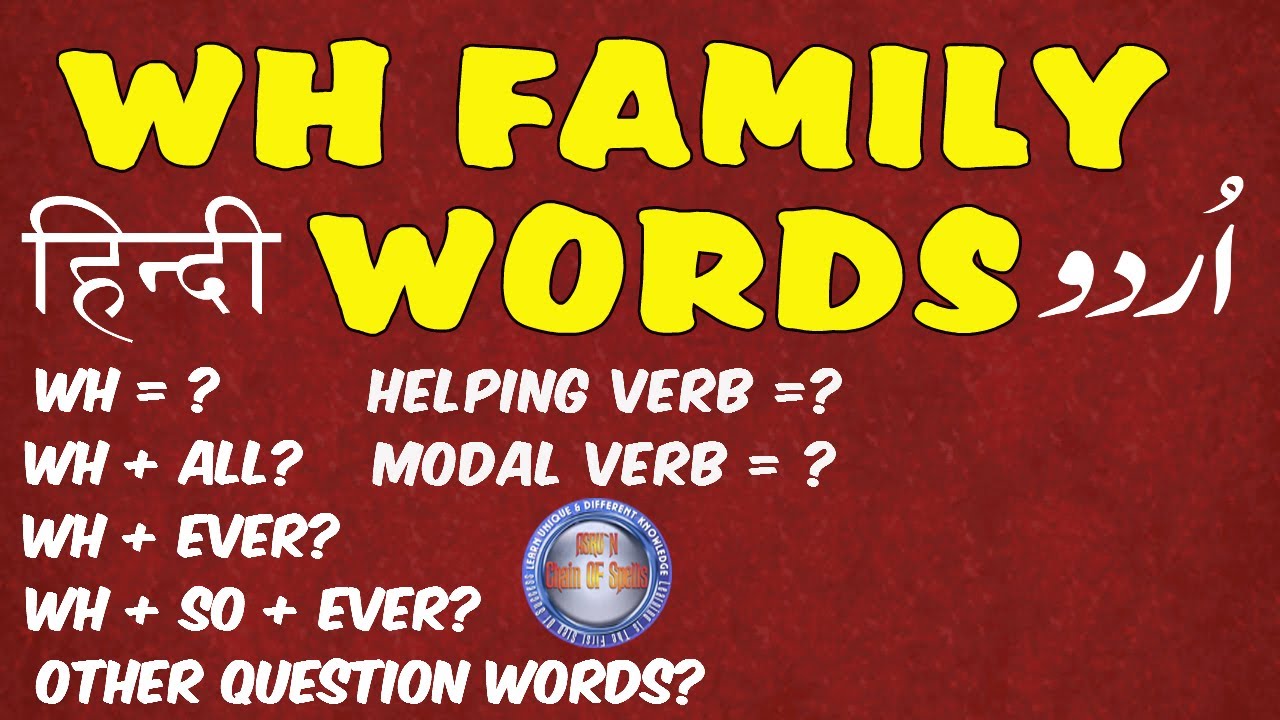 WH Questions Examples With Answers WH Questions Speech Therapy WH Family Words wh-questions-examples-with-answers-wh-questions-speech-therapy-wh-family-words