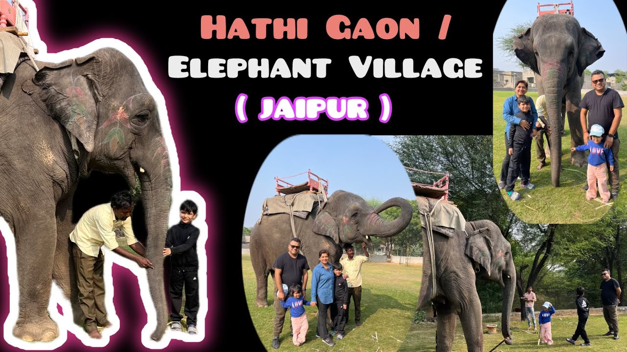 Hathi gaon | The elephant village Jaipur | elephant sanctuary ...