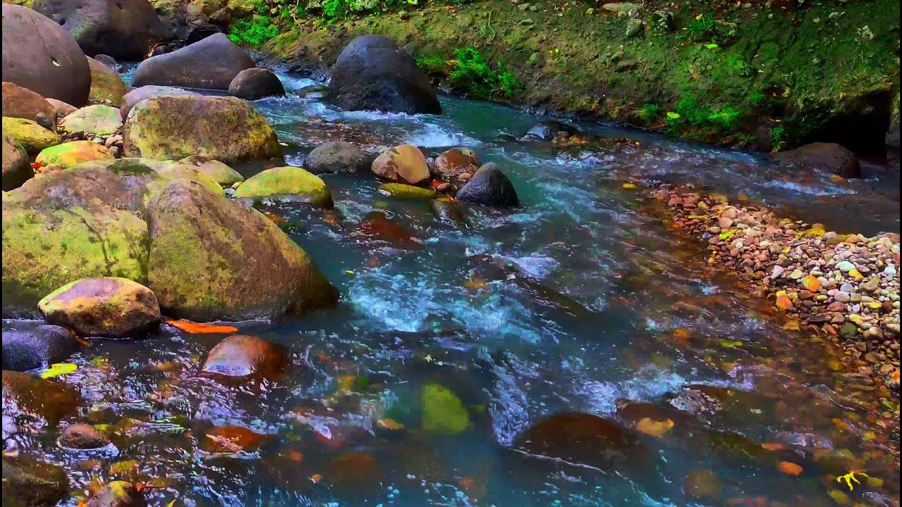 Relaxing Stream River Sounds, babbling brook noise for sleep, scenic ...
