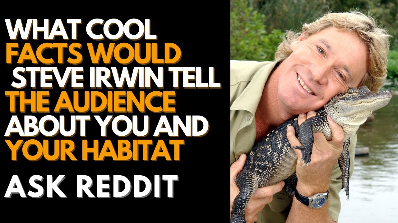 WHAT COOL FACTS WOULD STEVE IRWIN TELL THE AUDIENCE ABOUT YOU AND YOUR ...