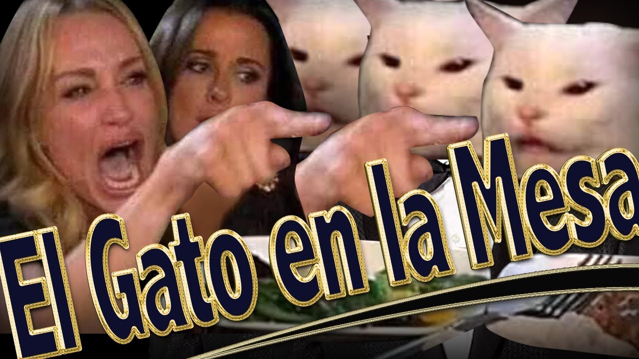 EL GATO EN LA MESA Y LA MUJER GRITANDO 10 MEJORES MEMES 😹😹😹👍 - YouTube