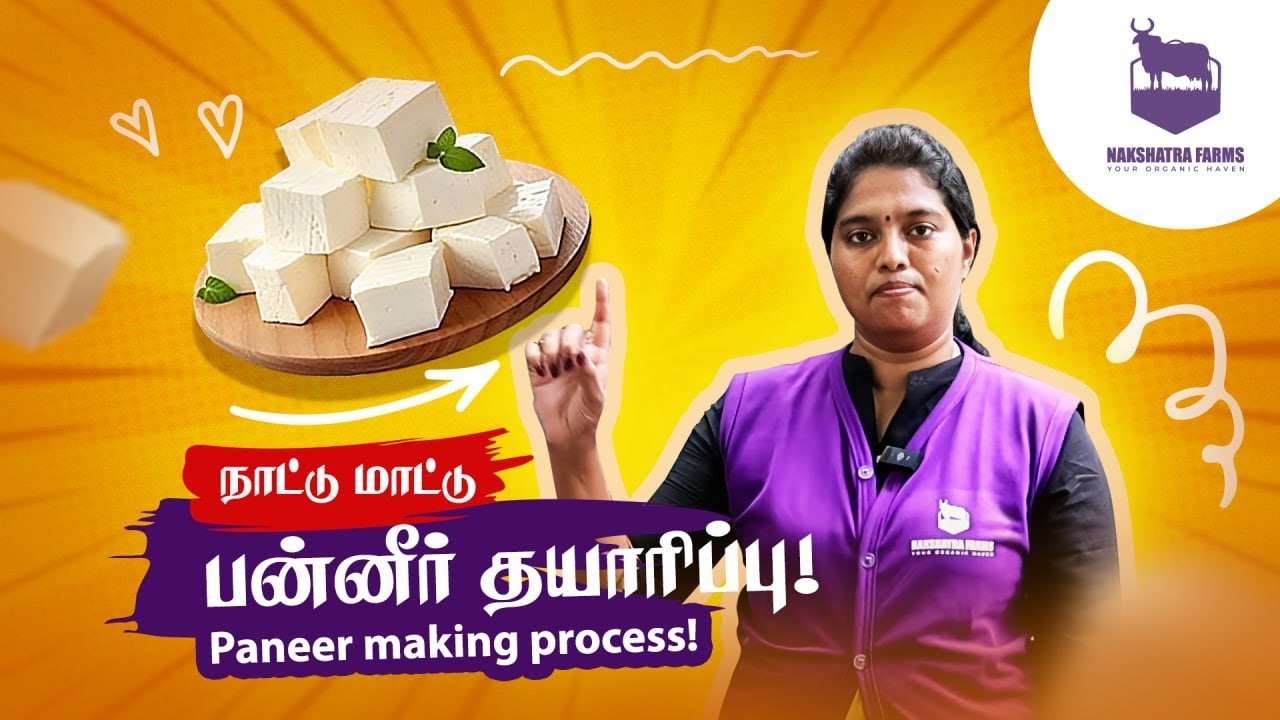 Paneer Making Process | பன்னீர் செய்முறை @farmnakshatra - YouTube