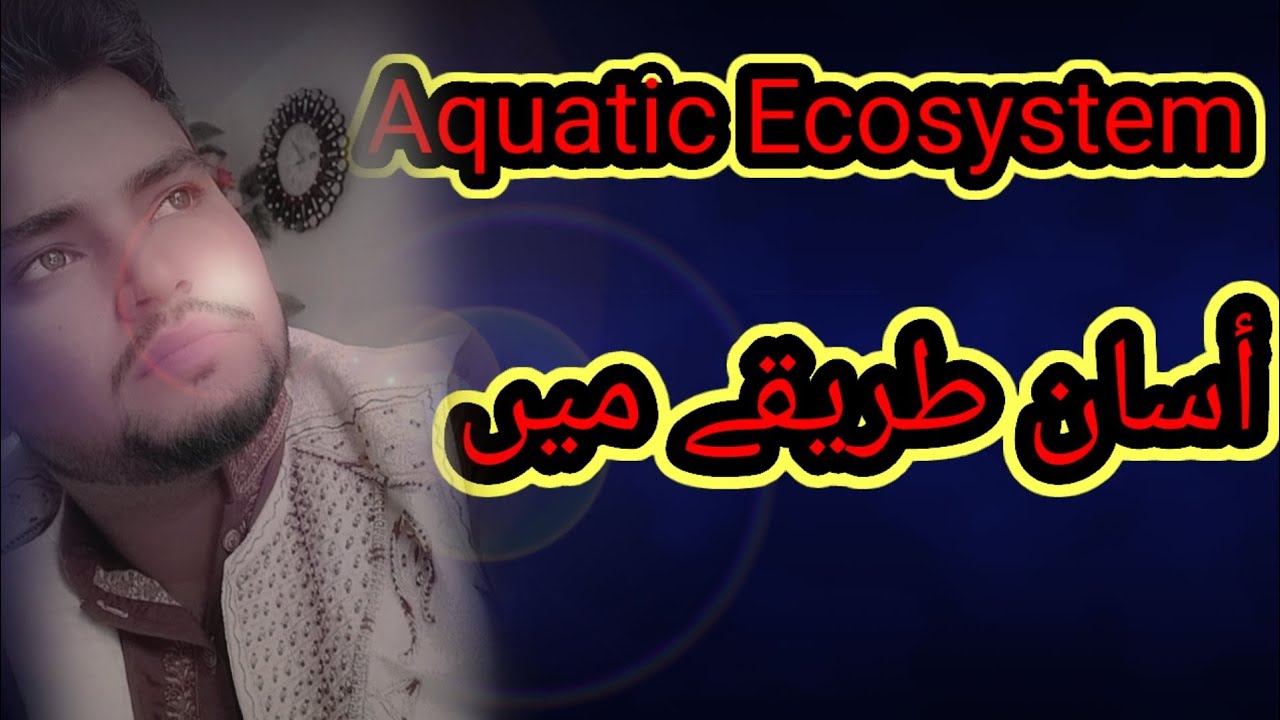 What Is Aquatic Ecosystem what Is Aquatic Organism What Is Lake Ecosystem YouTube what-is-aquatic-ecosystem-what-is-aquatic-organism-what-is-lake-ecosystem-youtube