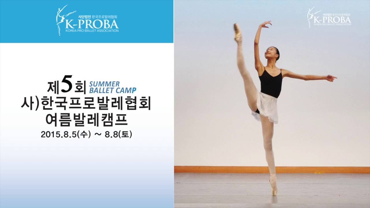 korea Ballet 2015 한국프로발레협회 발레캠프 갈라공연 차이코프스키 파드되 korea #ballet - YouTube