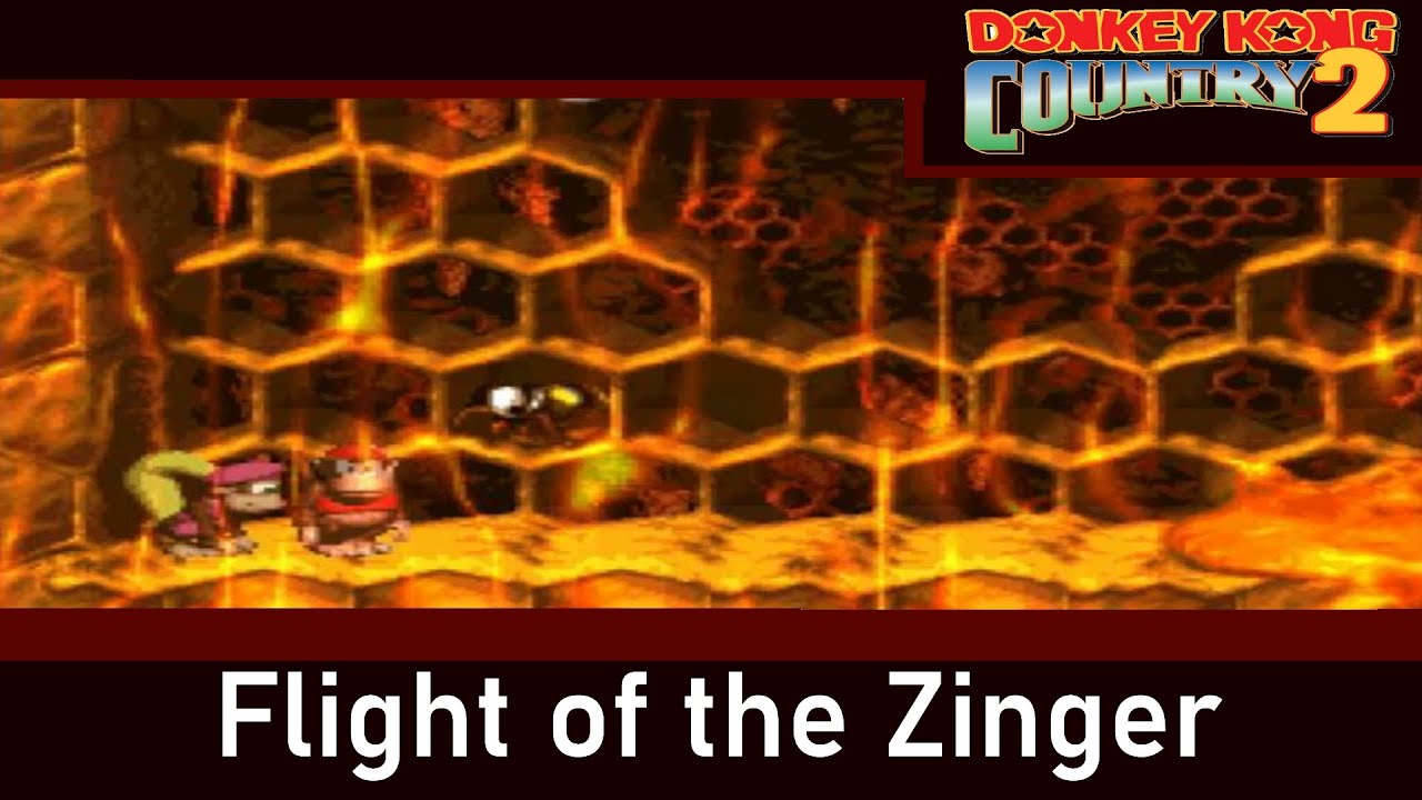 Donkey Kong Country 2 / Flight of the Zinger [cover 2024] - YouTube