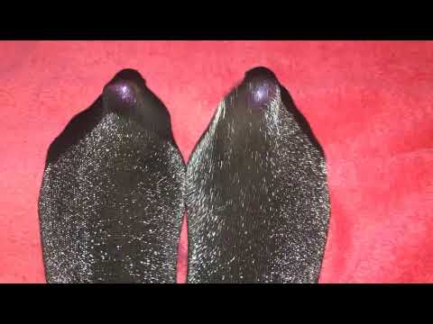 Yes Boss   ASUPER Shiny BLACK  tights pantyhose