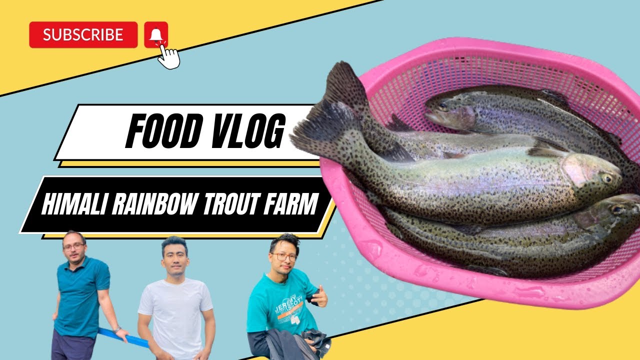 Fishing Rainbow Trout || Himali Rainbow Trout Farm || Food vlog - YouTube