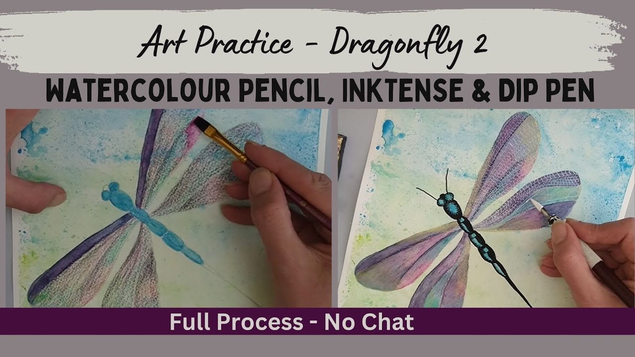 Drawing a dragonfly with inktense, drawing ink and watercolour pencil ...