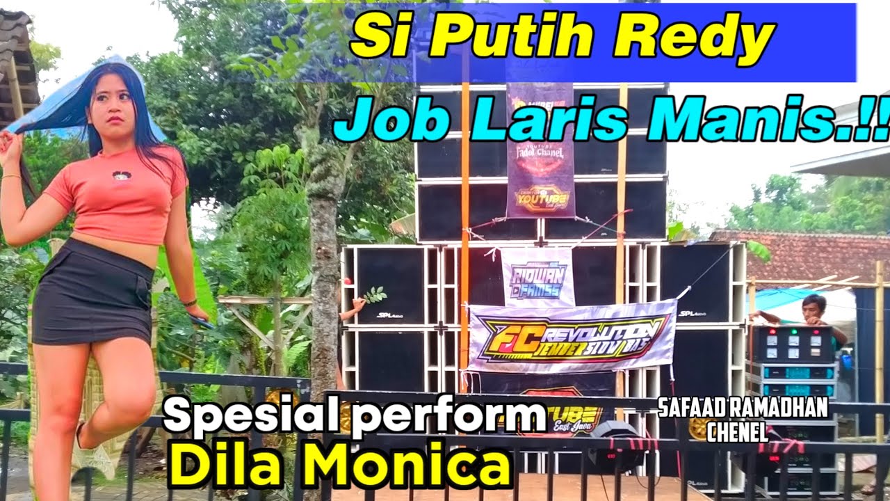 Reddy Pargoy Job Laris Manis si putih Wafy Audio siap Horeg Bersama Dila monica - YouTube