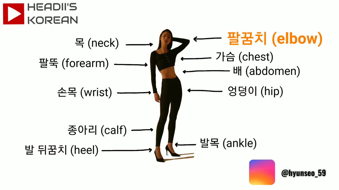 Learn Korean Words for Body Parts- Level.2 - YouTube