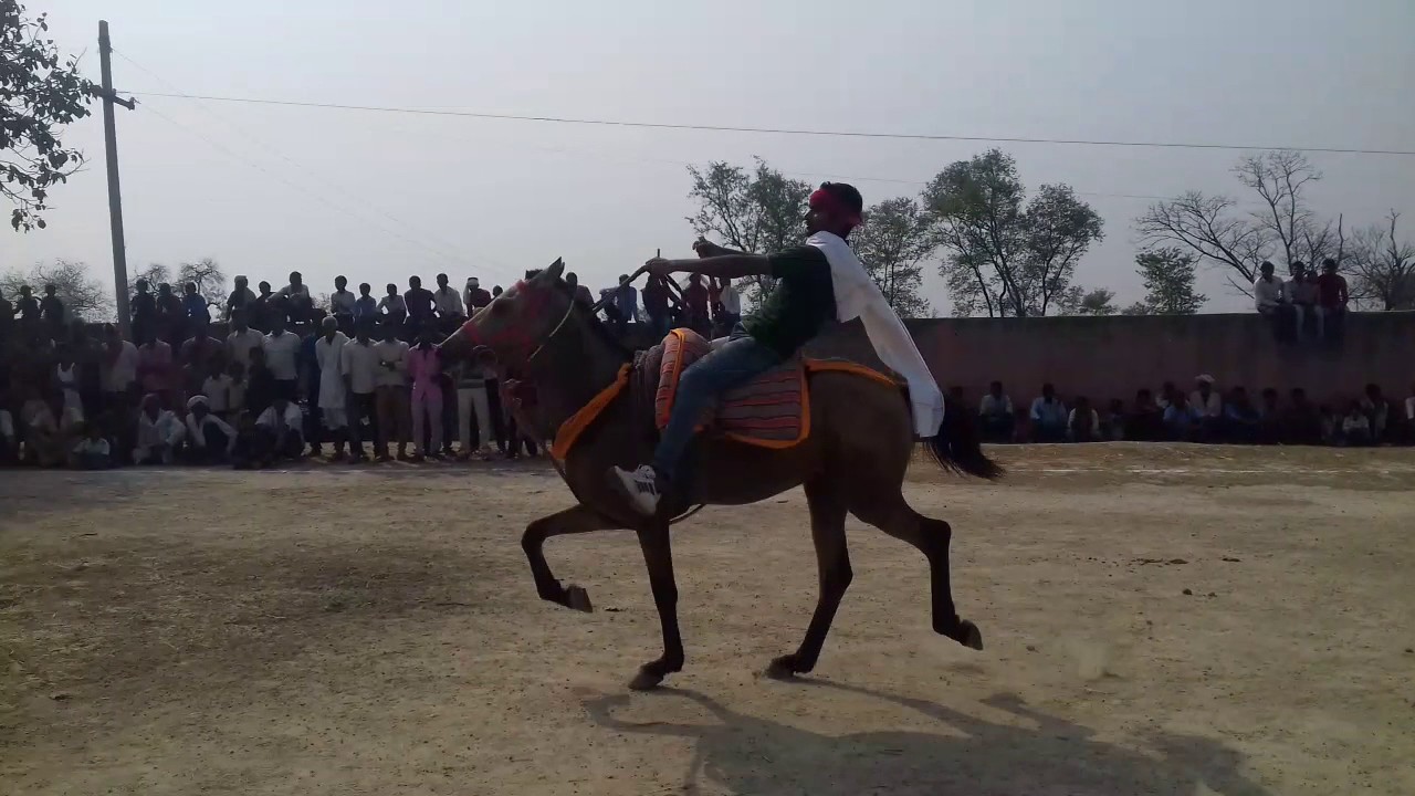 Ghora dor 23.3.2017 ko harpur panchait - YouTube