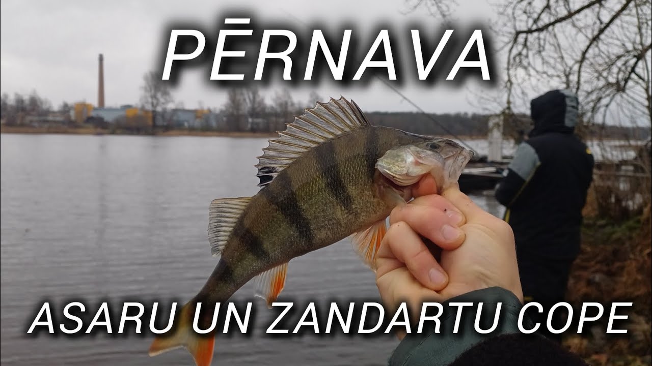 Dropshot sistēma! Asaru un zandartu cope Pērnavā. - YouTube
